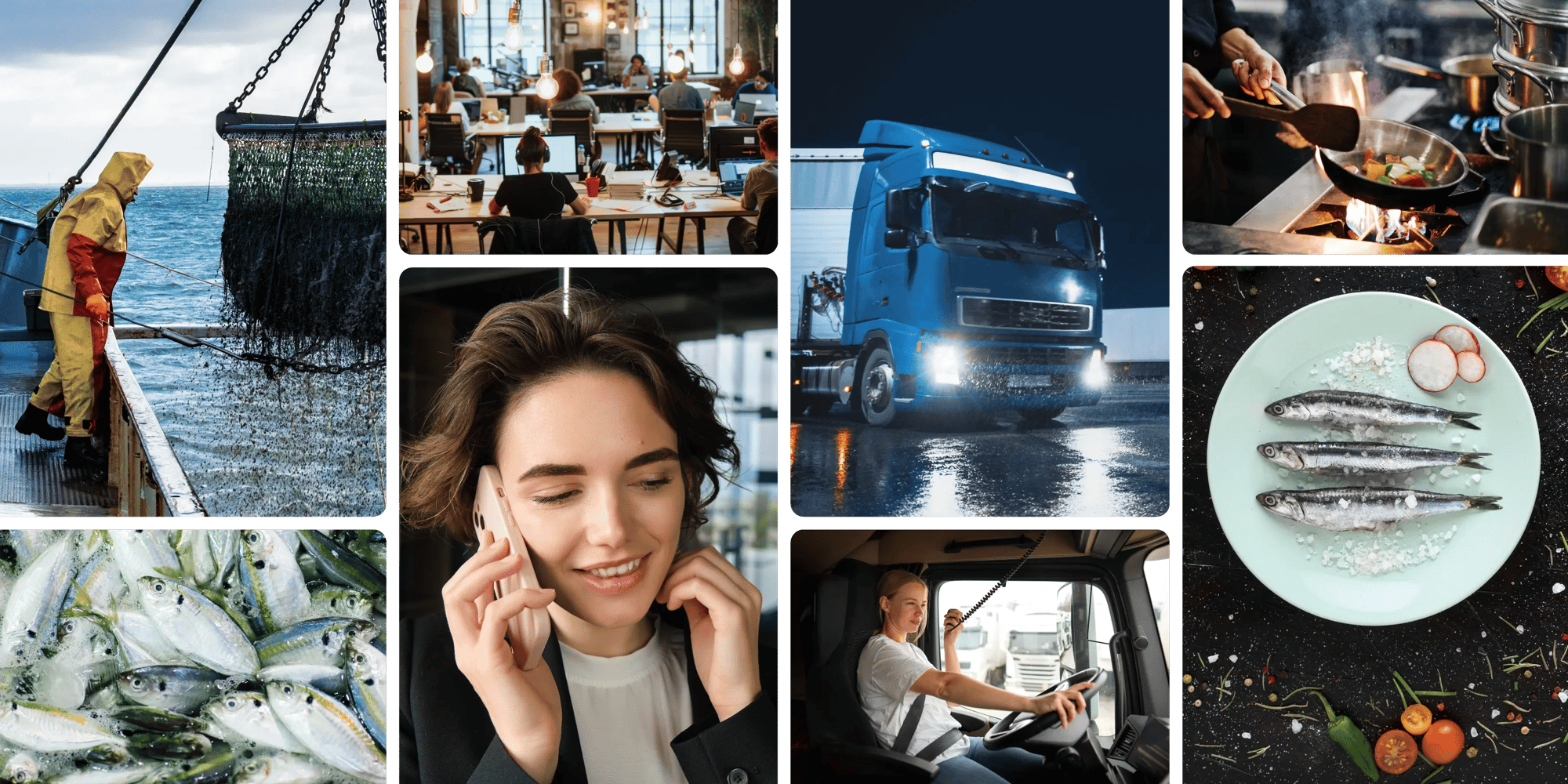 Our Platform | Seafood ERP Software | Wisefish